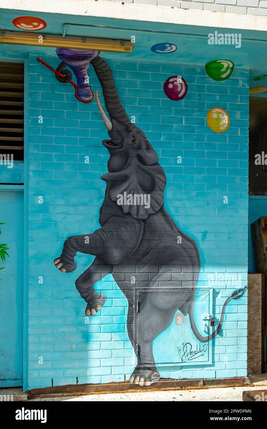 Elephant With Balloons Street Art