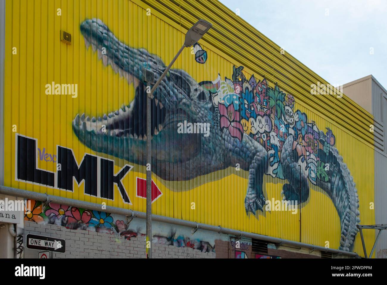 Crocodile Street Art by Vexx, Darwin, NT, Australia Stock Photo - Alamy