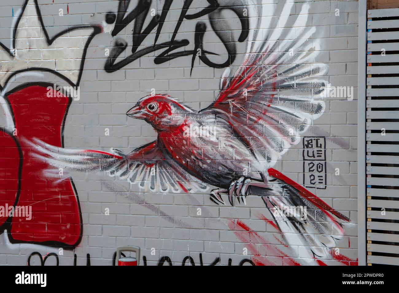 Bird mural hi-res stock photography and images - Alamy