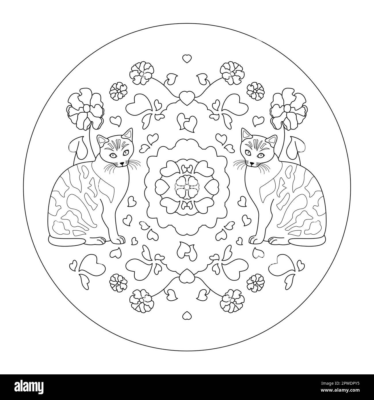 Mandala cat coloring page Black and White Stock Photos & Images - Alamy