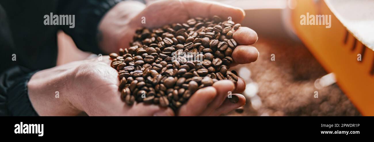 Business owner checks the quality of roasting coffee beans on small ...