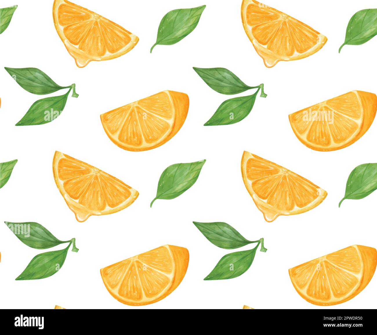 pattern seamless background Watercolor fresh slice orange fruit hand ...