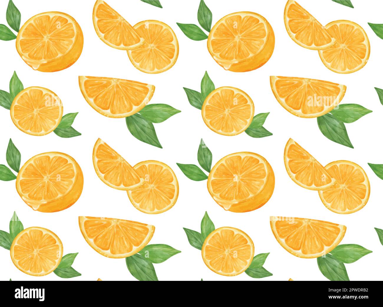 Watercolor fresh cut slice orange fruit pattern seamless background ...