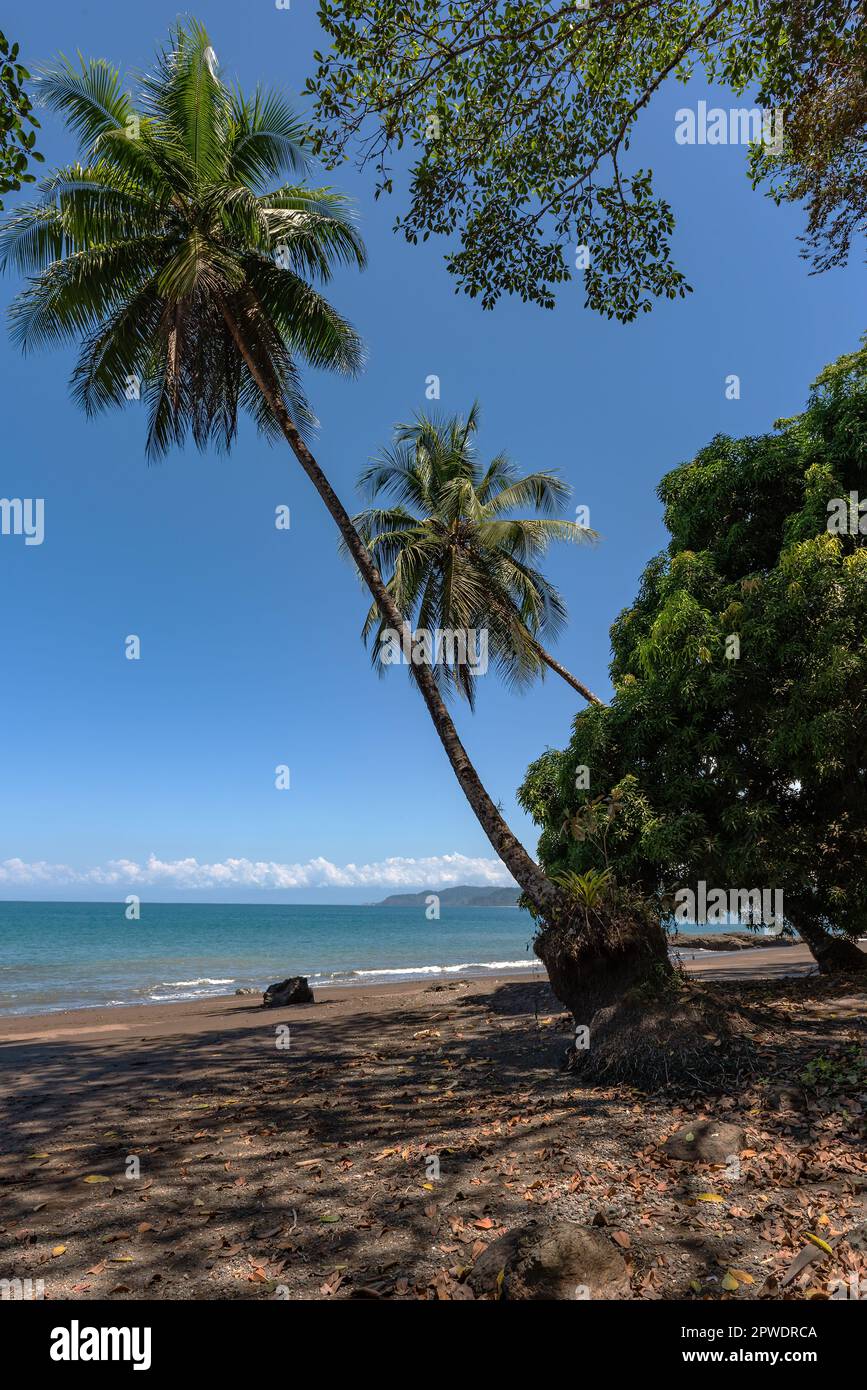 Sandy beach of the small town of Drake Bay, Puntarenas, Costa Rica ...