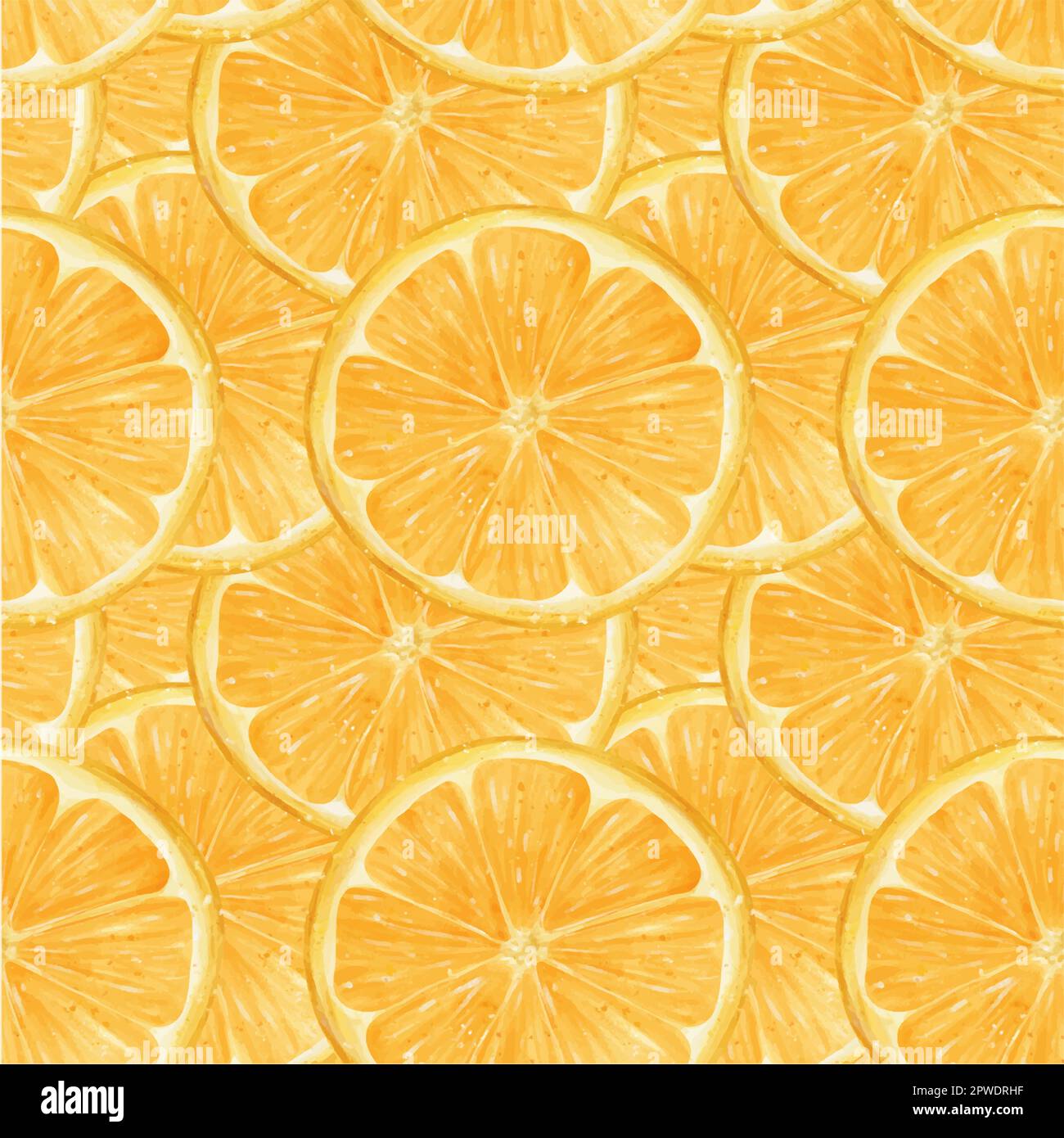pattern seamless background Watercolor close up sliced cut orange fruit ...
