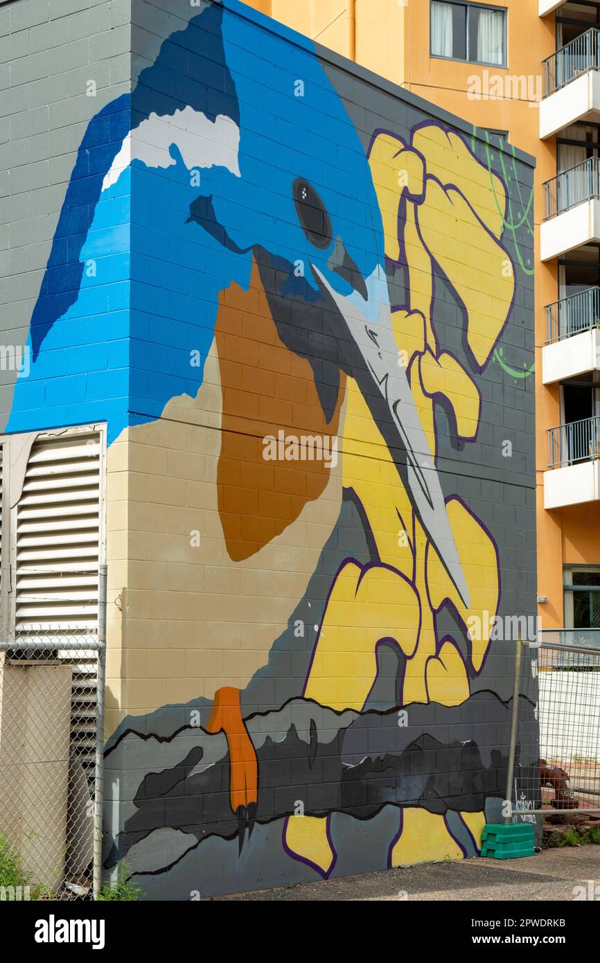 Azure Kingfisher Street Art by Jordan Conrad, Darwin, NT, Australia ...