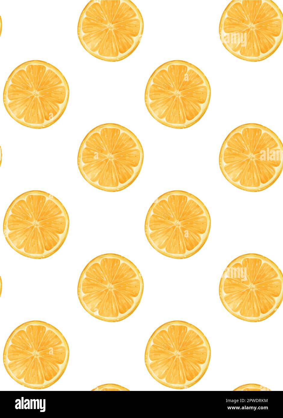 pattern seamless background Watercolor sliced cut orange fruit hand ...
