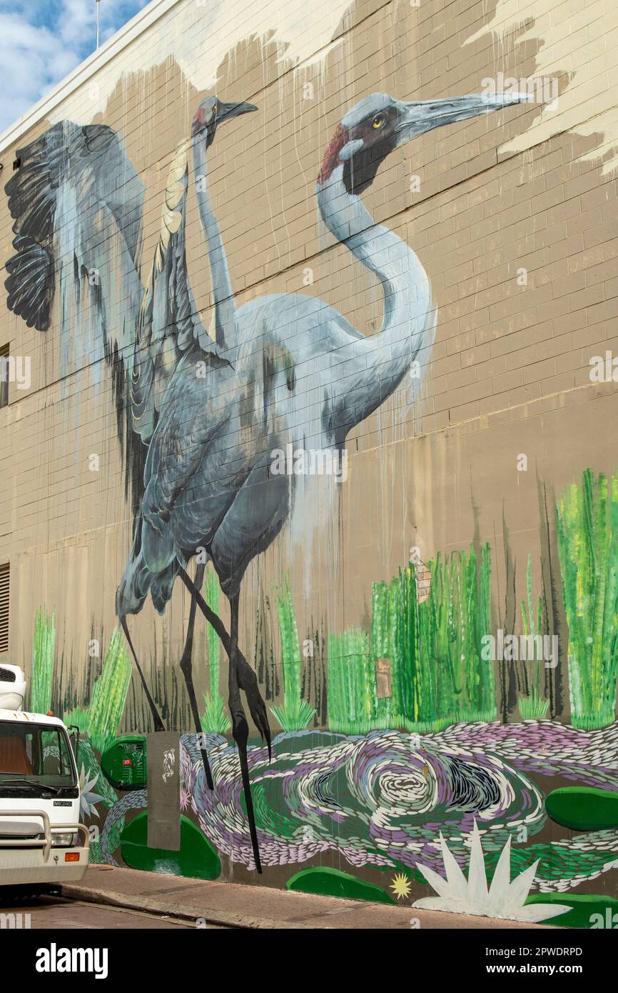 Monsoon Street Art by Cam Scale and Les Huddleston, Darwin, NT ...