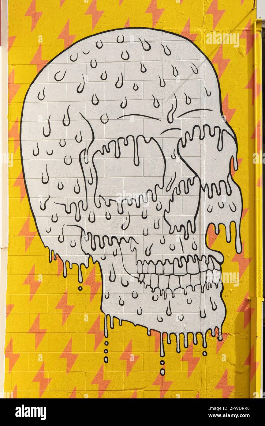 Sweating Skull Street Art by Vincent Poke, Darwin, NT, Australia Stock ...