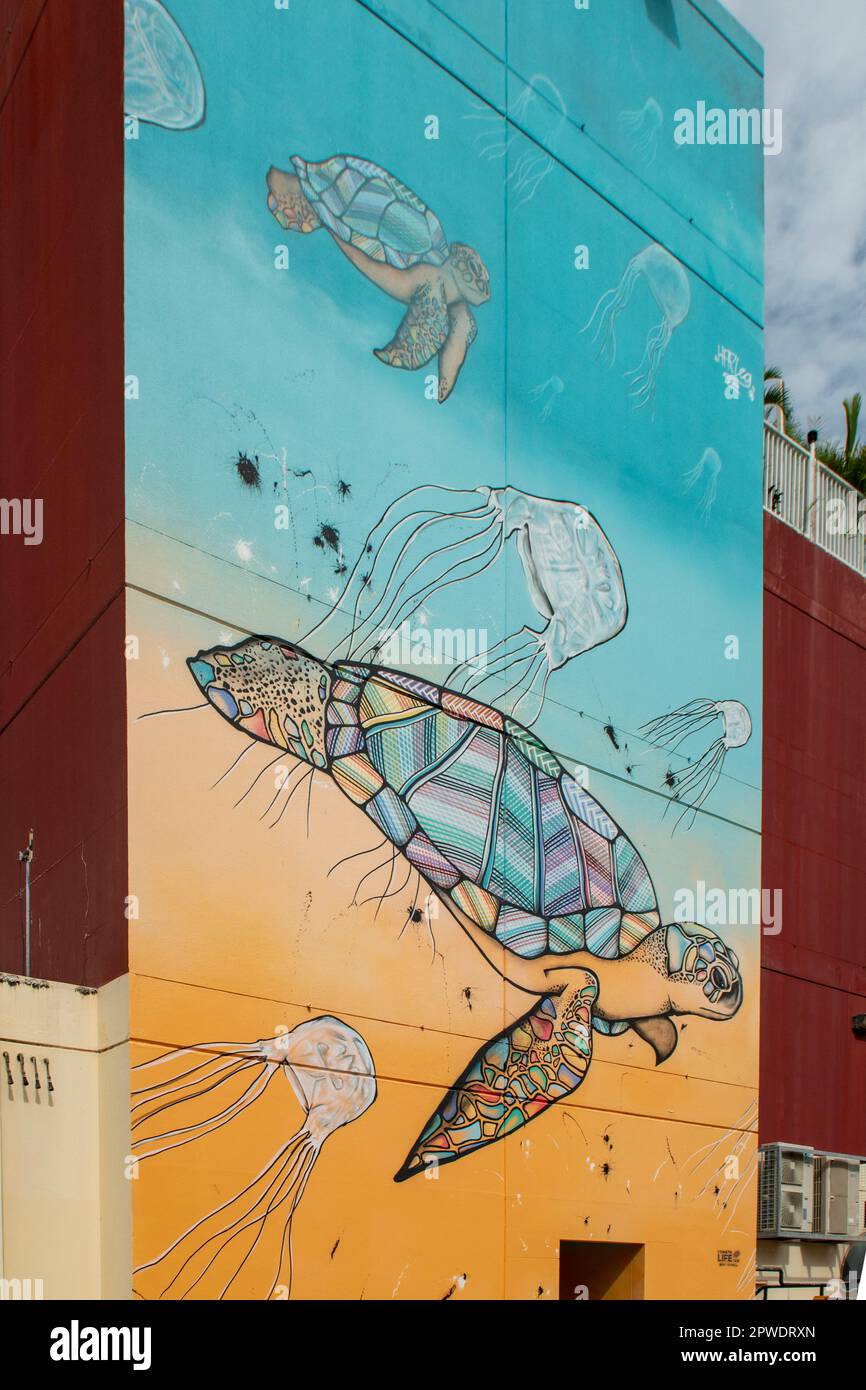 Turtle Street Art by Hafleg, Darwin, NT, Australia Stock Photo - Alamy