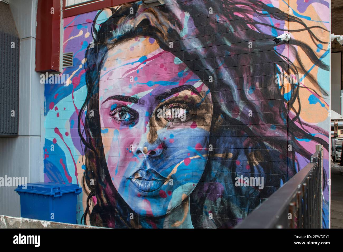 Artia Ratahi Street Art by Polly Johnston Darwin, NT, Australia Stock ...