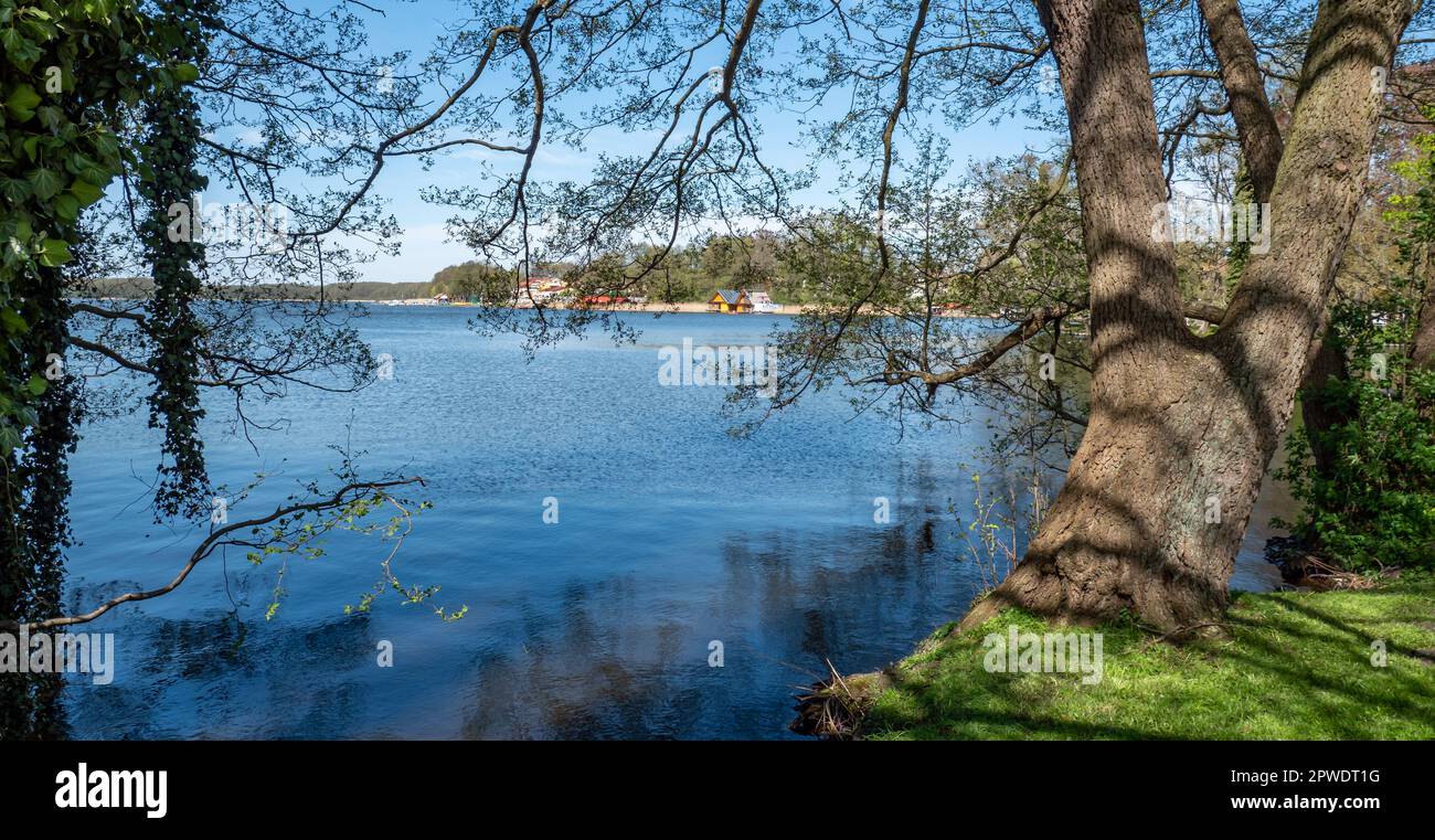 Pier lake forest shore hi-res stock photography and images - Alamy