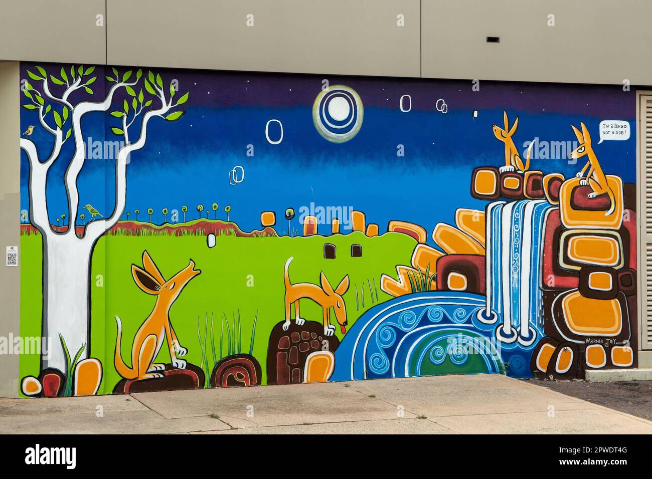 Dingo Street Art by Marnie Jay, Darwin, NT, Australia Stock Photo - Alamy
