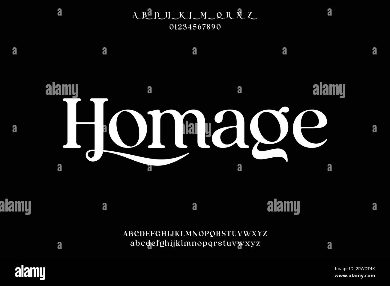 Elegant luxury serif alphabets font vector with alternate Stock Vector ...