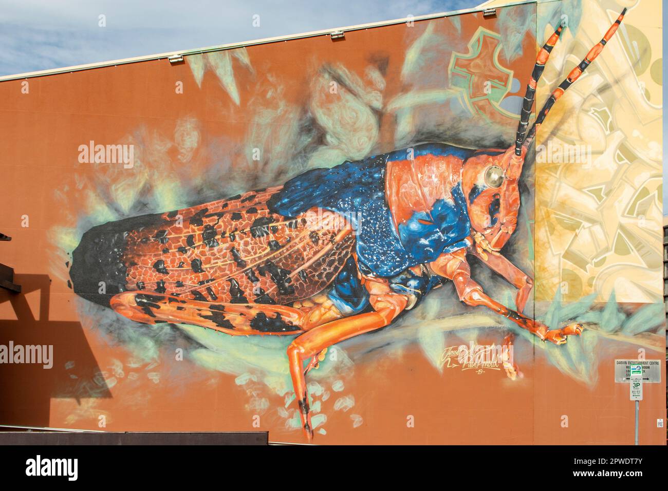 Grasshopper Street Art by Jesse Bell and Paul Arnold, Darwin, NT ...