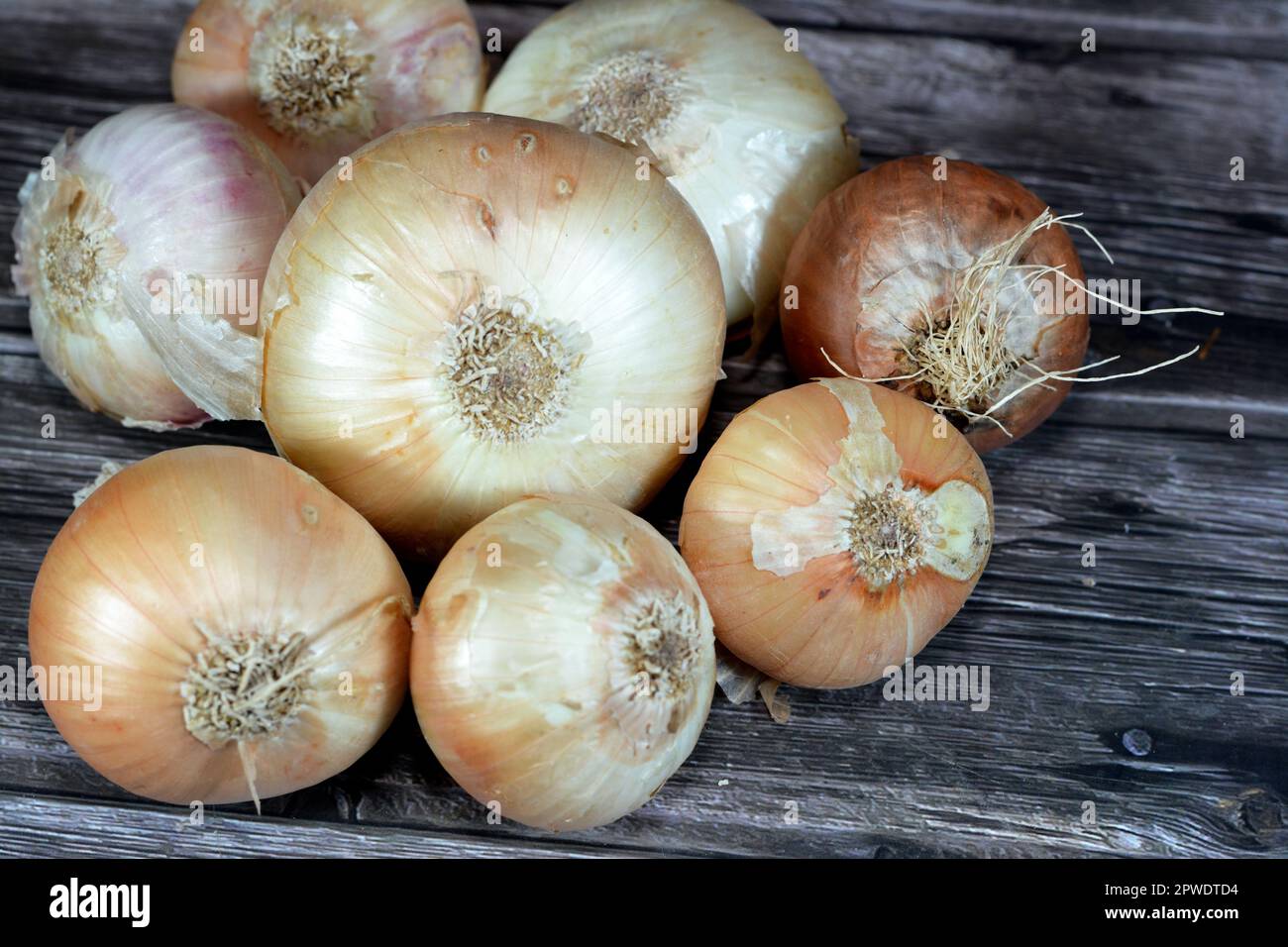Pile of onions, the bulb onion or common onion, is a vegetable that is ...
