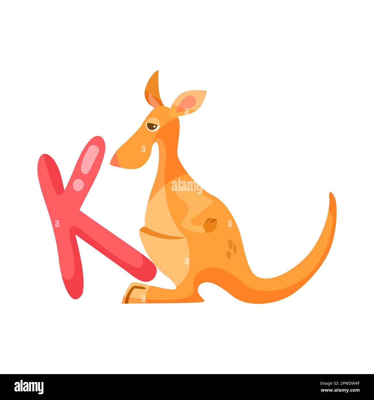Kangaroo character with alphabet letter k vector illustration Stock ...