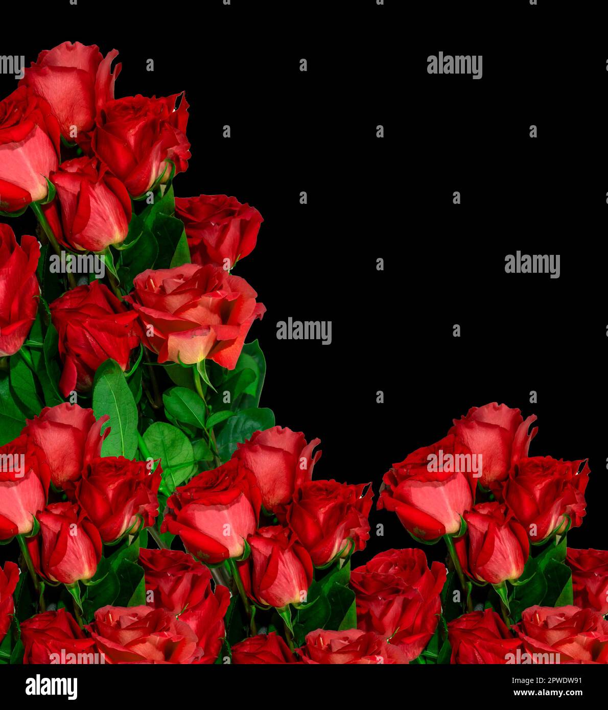 postcard, banner, invitation to death, funeral, commemoration Stock ...