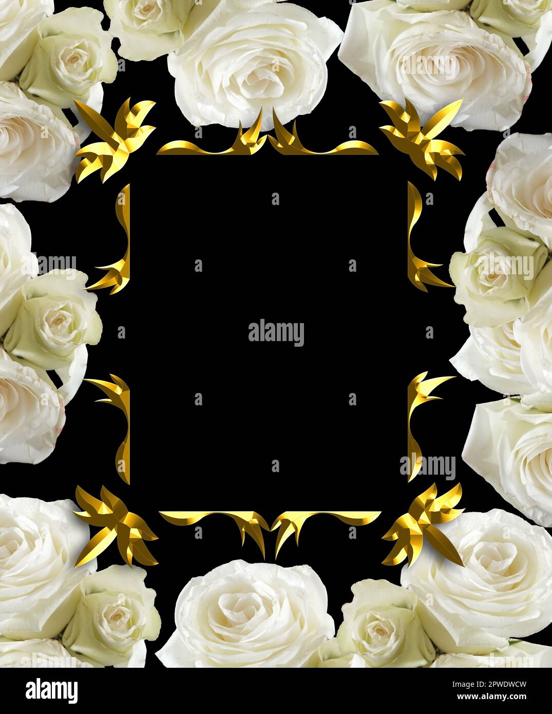 Death card, funeral, commemoration with white roses on a black ...