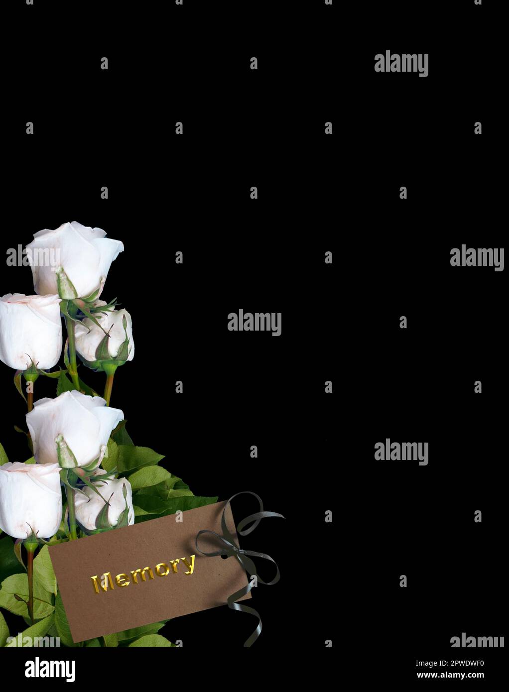 Death card, funeral, commemoration with white roses on a black ...