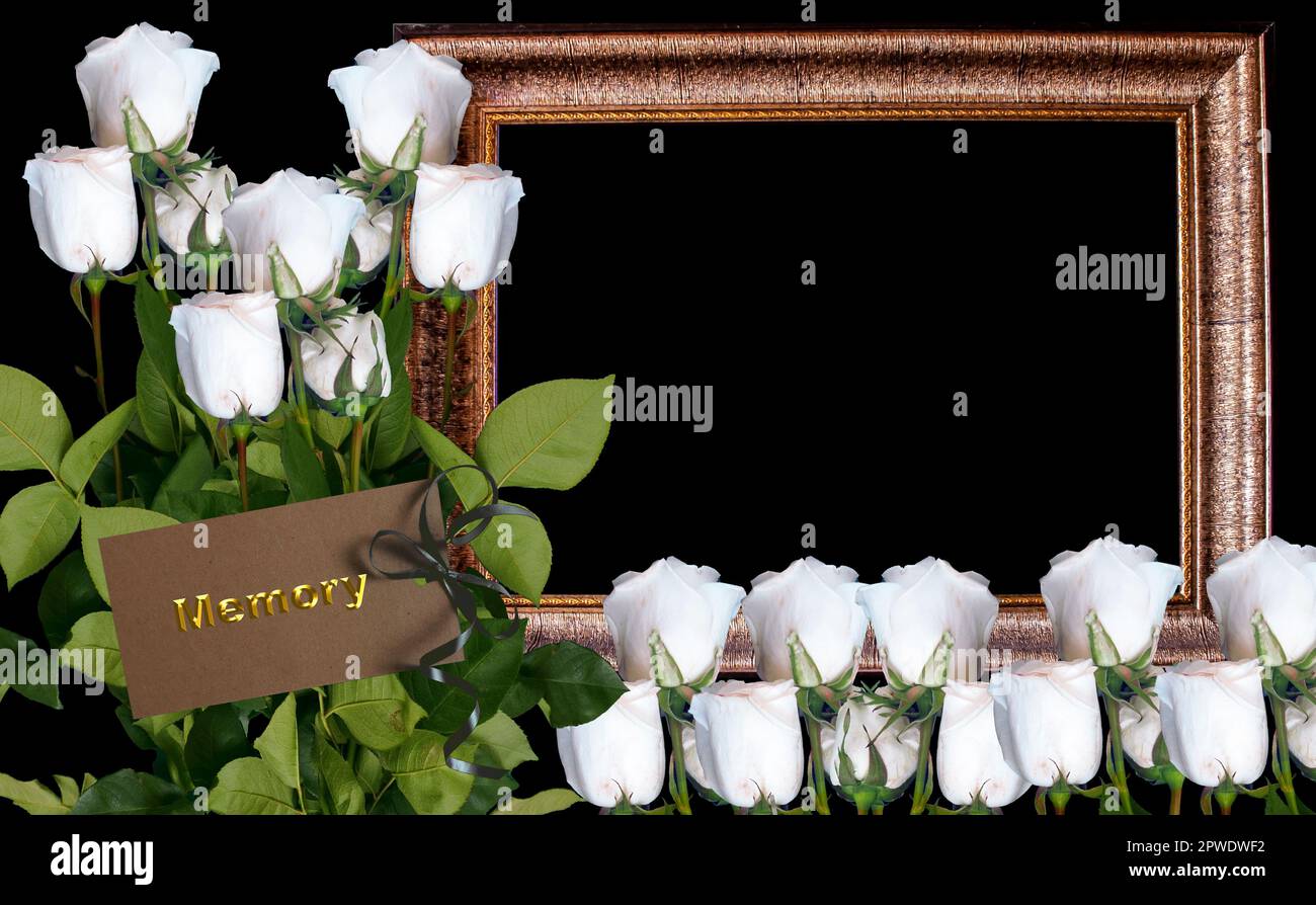 Death card, funeral, commemoration with white roses on a black ...