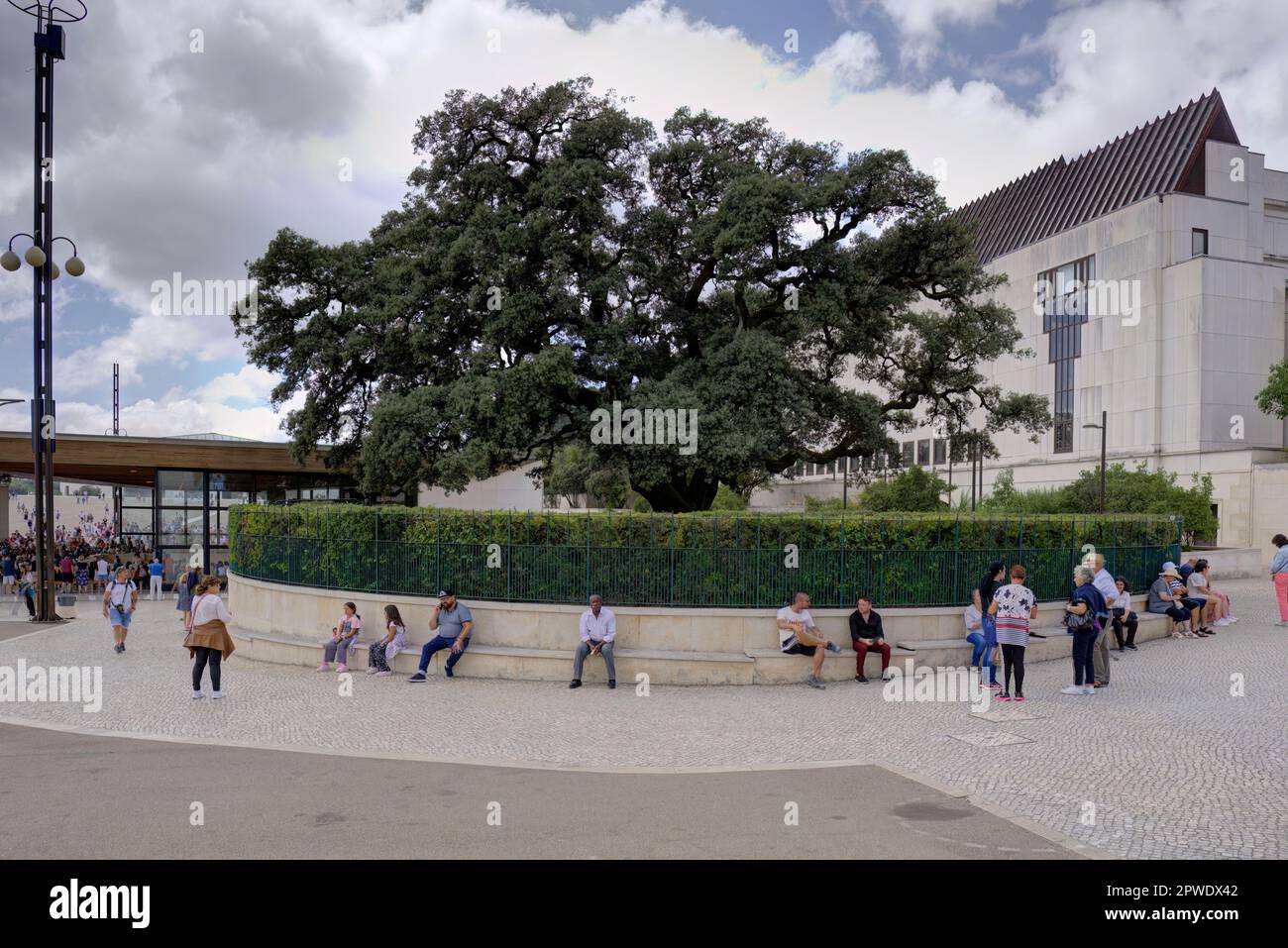 Shrine of our lady of the oak hi-res stock photography and images - Alamy