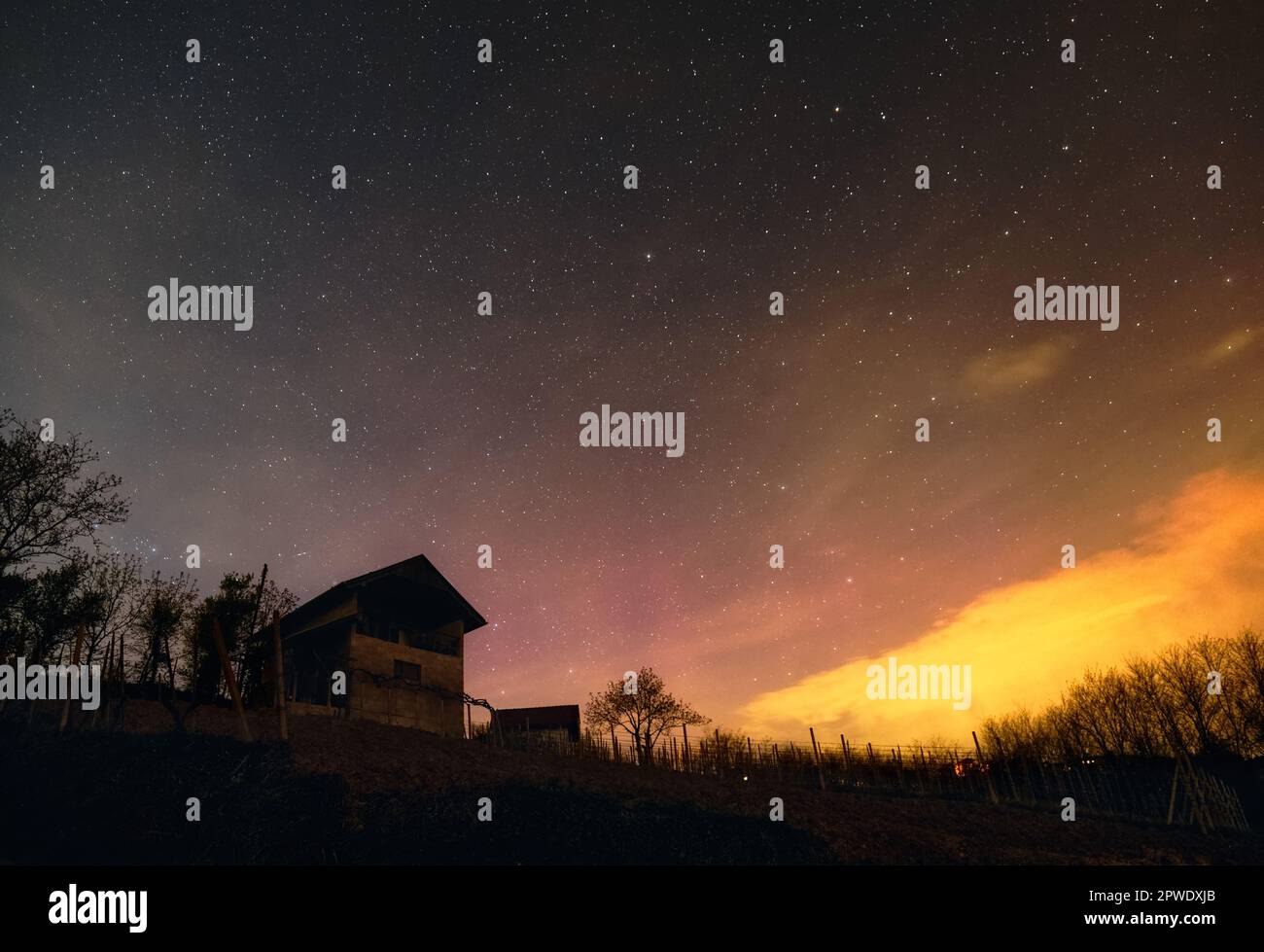 Night scene with stary sky above vineyards and vine house at Klenice ...