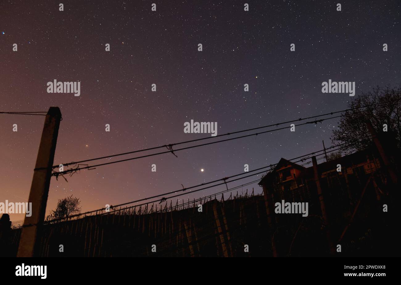 Night scene with stary sky above vineyards and vine house at Klenice ...