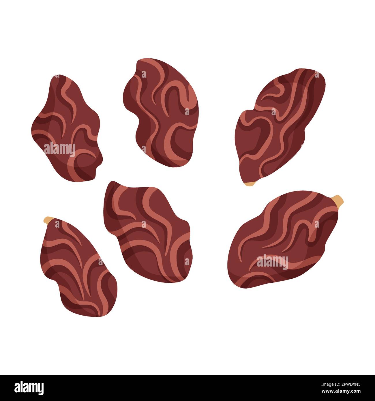 dried sweet date fruit cartoon illustration. Dried Tropical fruit, food ...