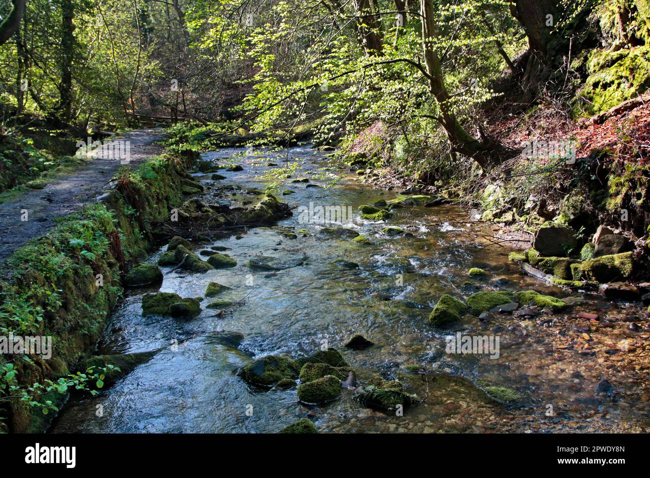 River Clywedog running through Nant Mill Woods, Coedpoeth, Wales Stock ...