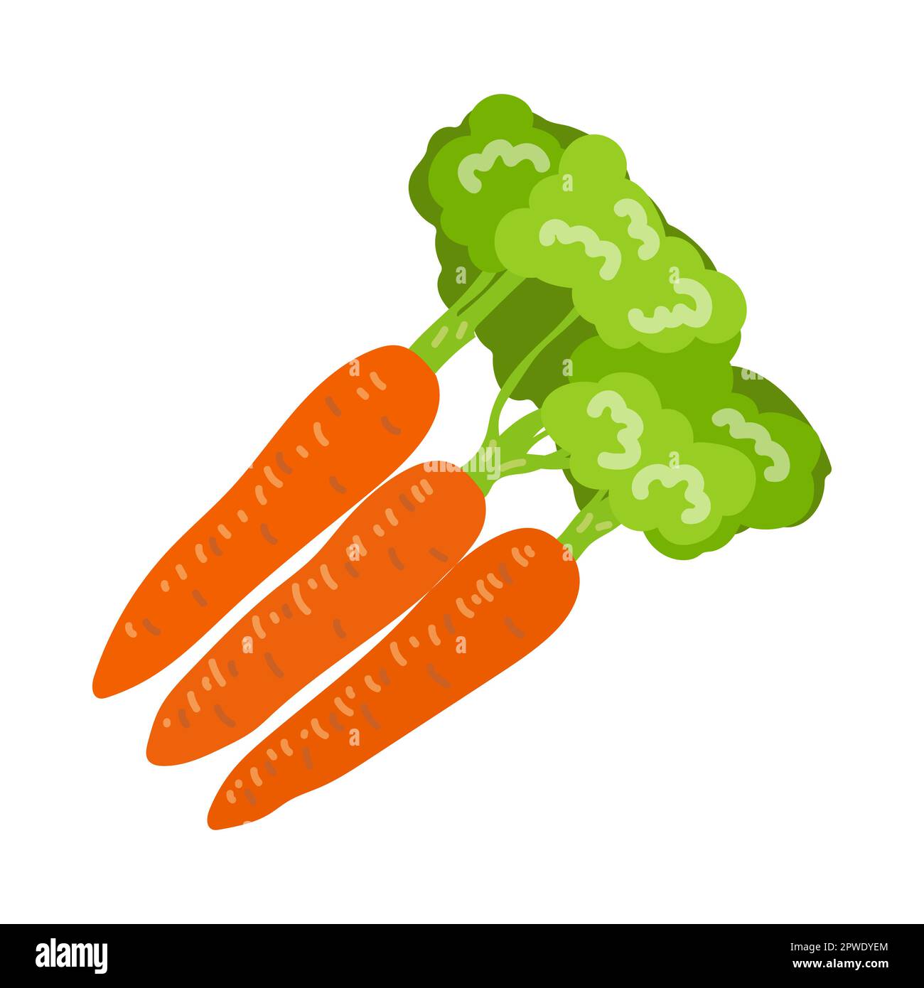 Carrot root system Cut Out Stock Images & Pictures - Alamy