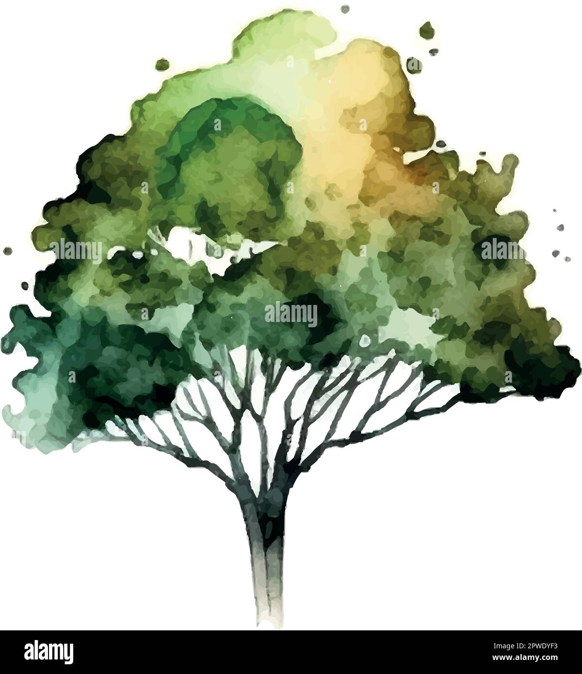 Watercolor tree hand draw vector nature painting Stock Vector Image ...