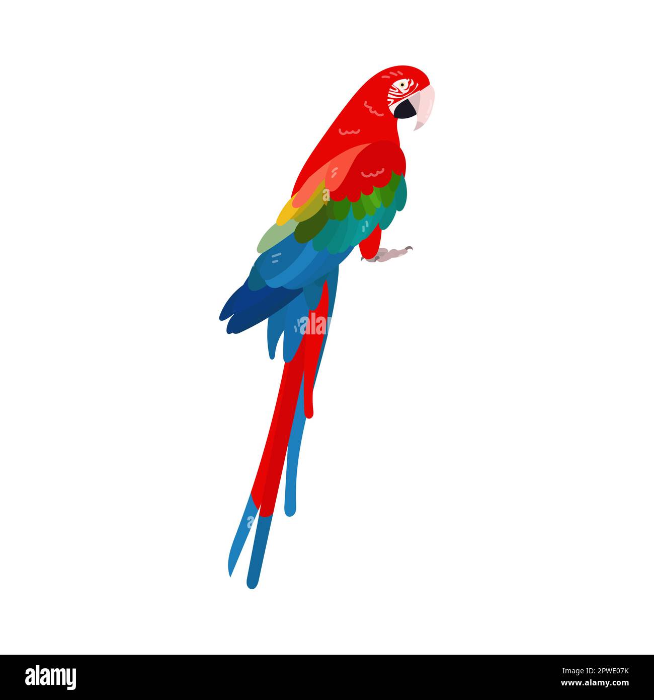 Hawaii bird red Cut Out Stock Images & Pictures - Alamy
