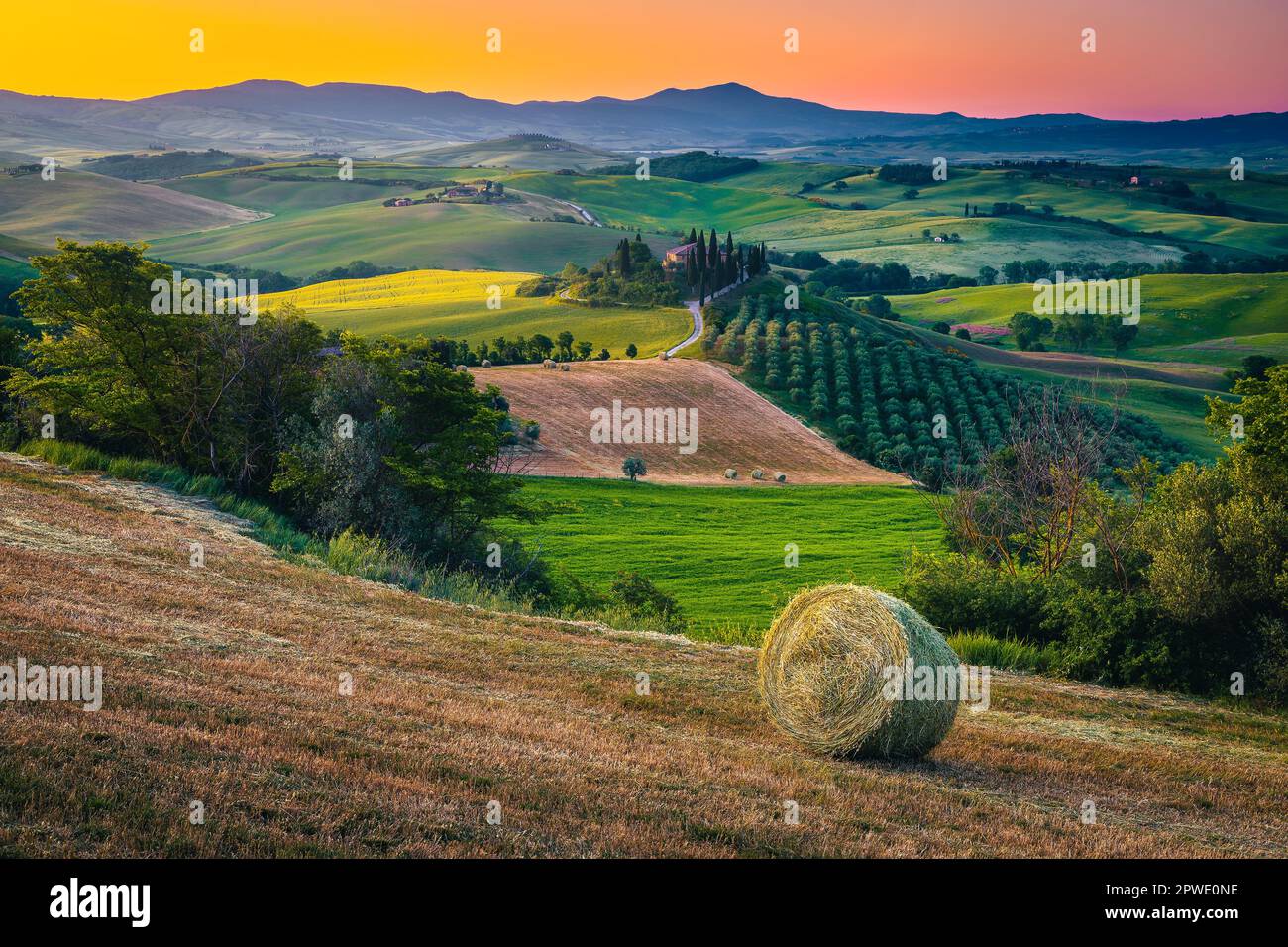 Beautiful rural dawn landscape with hay bale on the hill. Olive ...