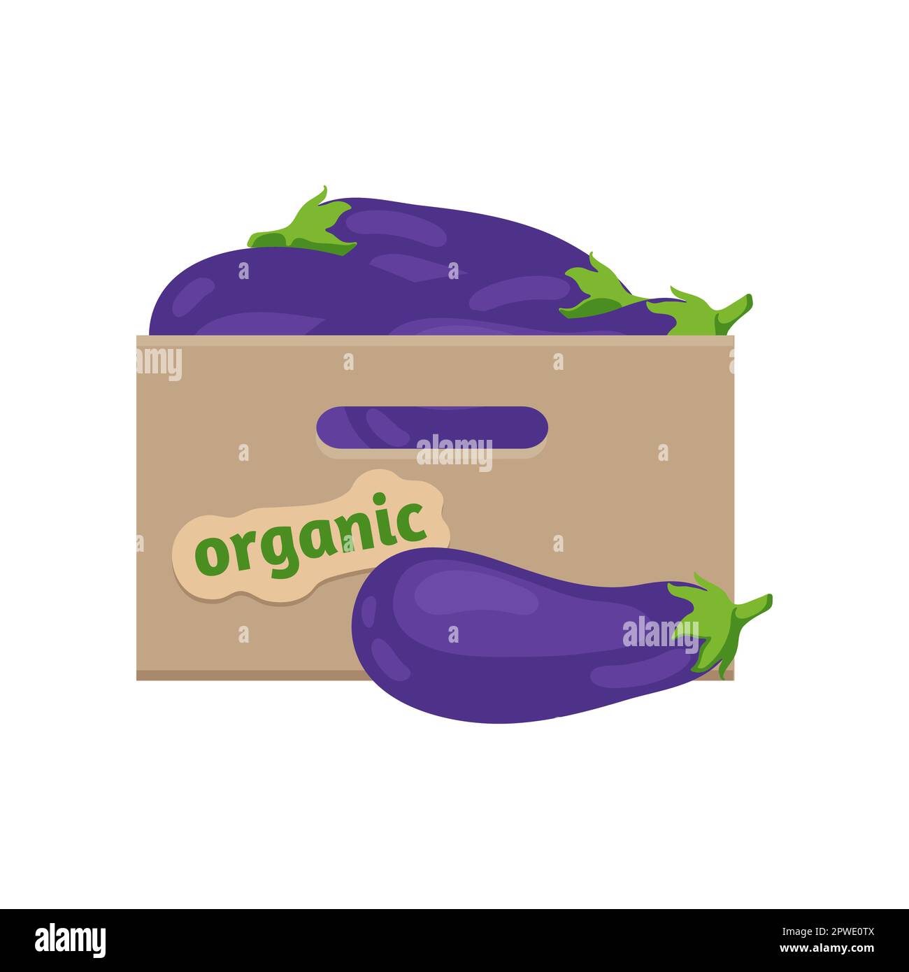 Eggplant in wooden box vector illustration Stock Vector Image & Art - Alamy