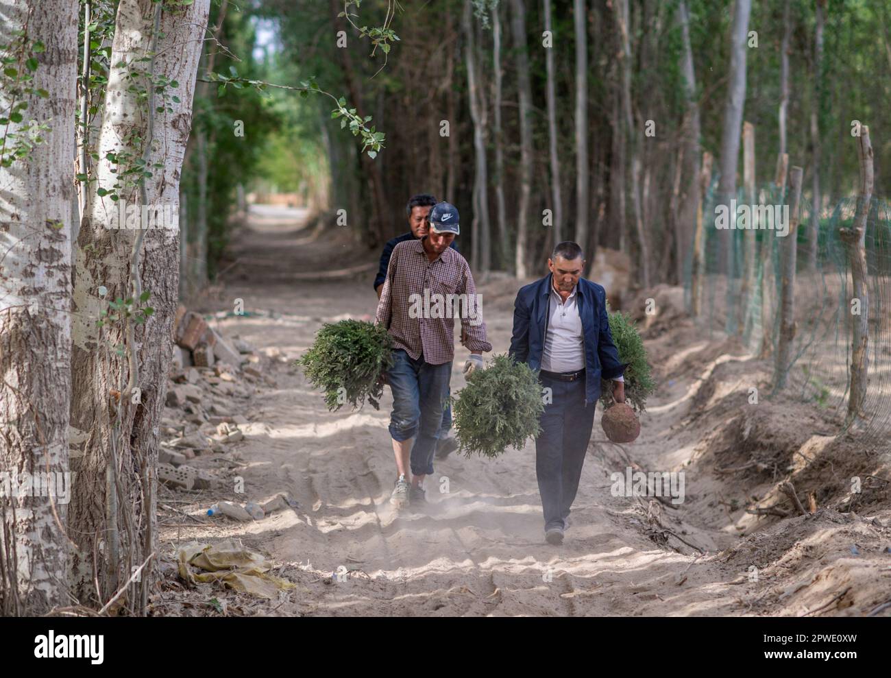 (230430) -- YECHENG, April 30, 2023 (Xinhua) -- Eniwar Emer (R) carries ...