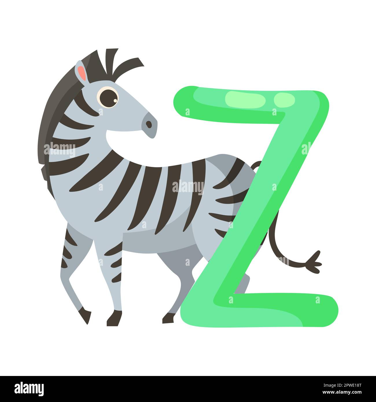 Zebra character with alphabet letter z vector illustration Stock Vector ...