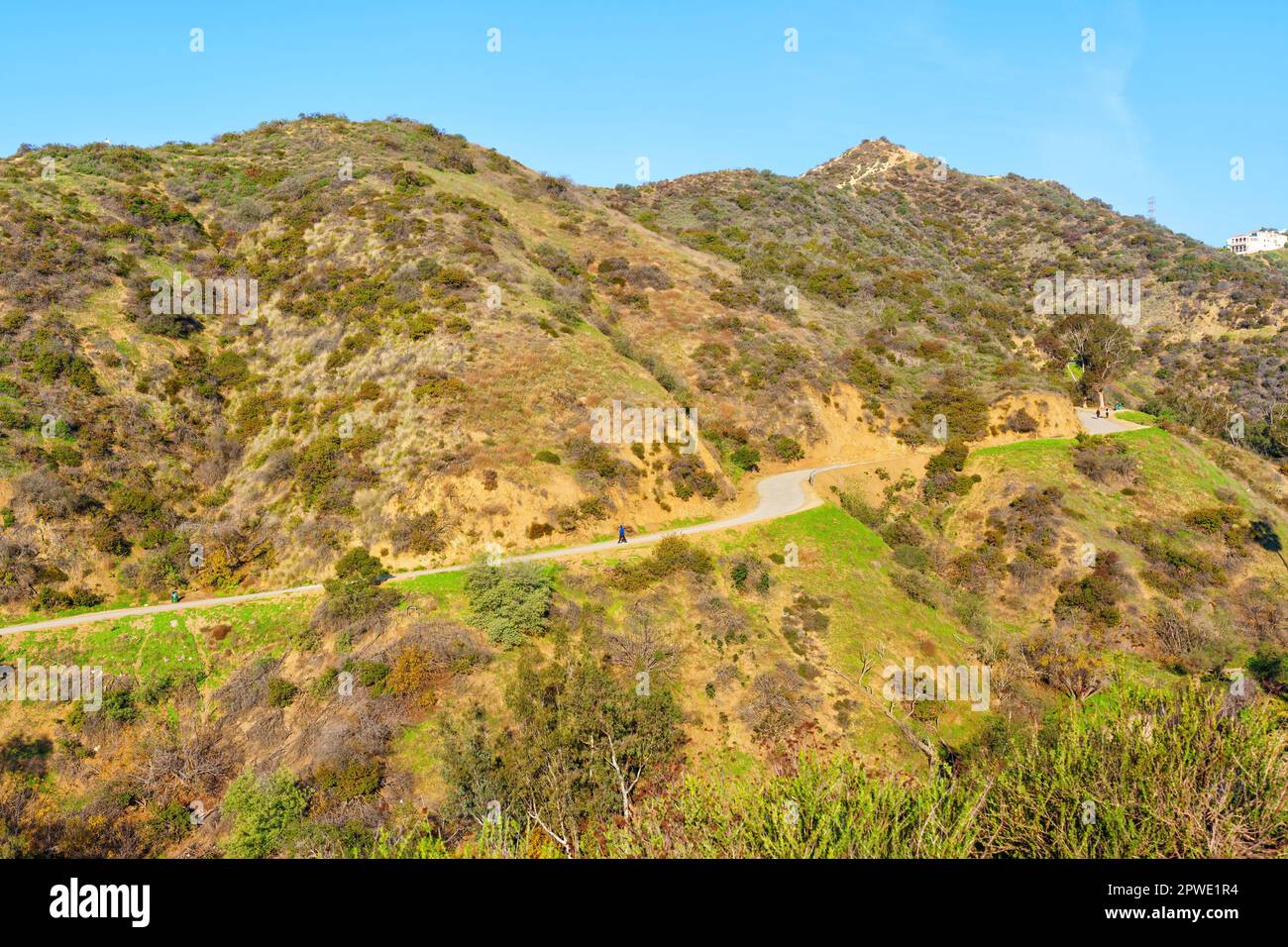 Runyon Canyon Trail in Santa Monica Mountains, California, seen from a ...