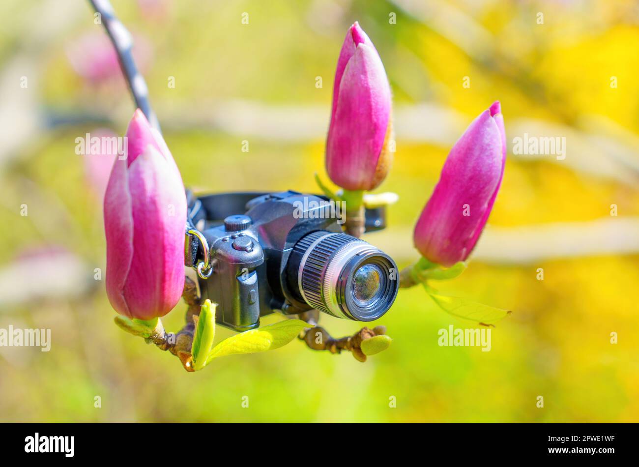 Close-up of a miniature professional camera figurine placed on a ...