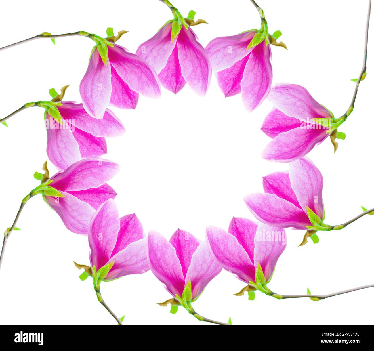 Circular floral arrangement Cut Out Stock Images & Pictures - Alamy