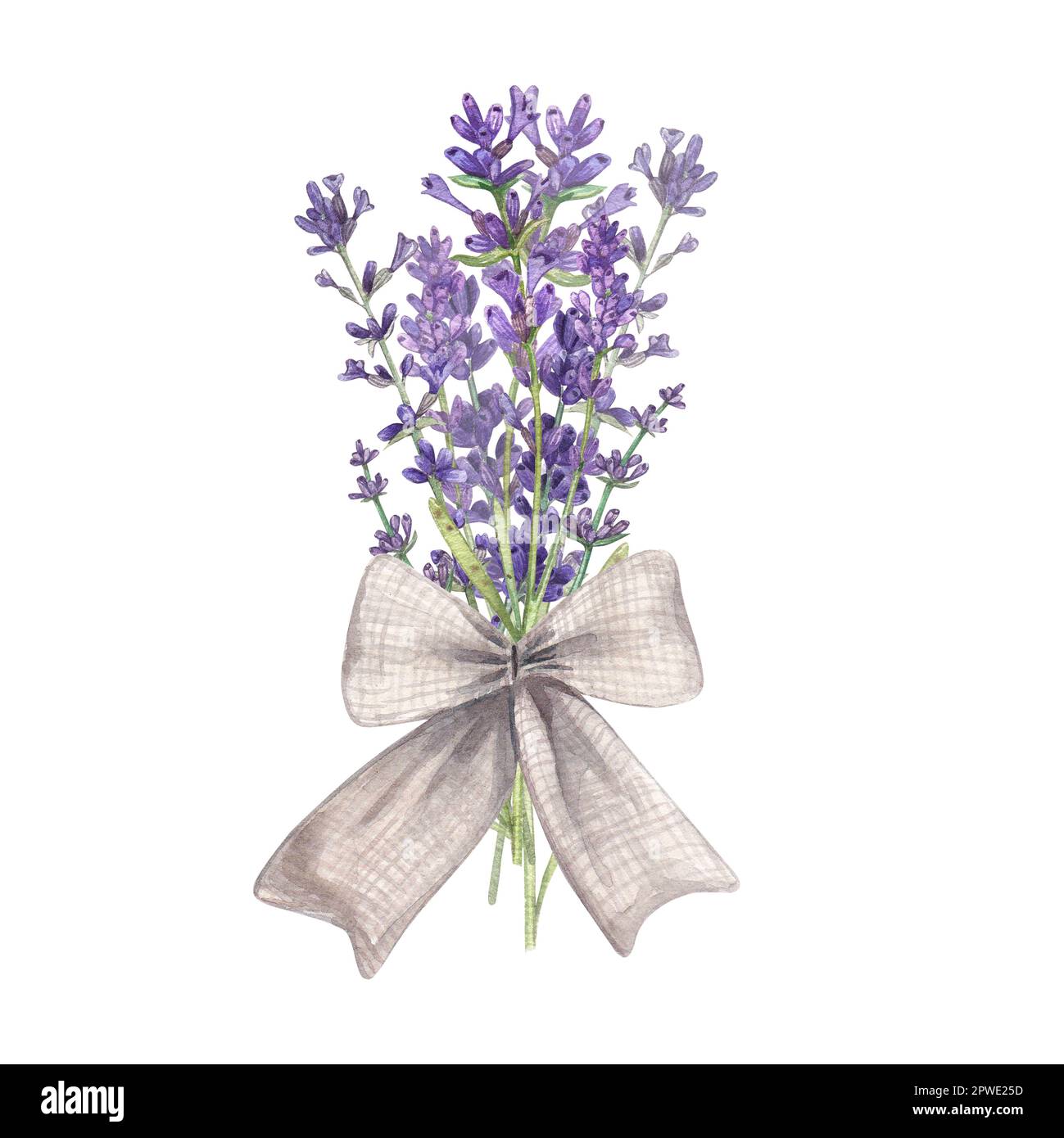 French bow Cut Out Stock Images & Pictures - Alamy