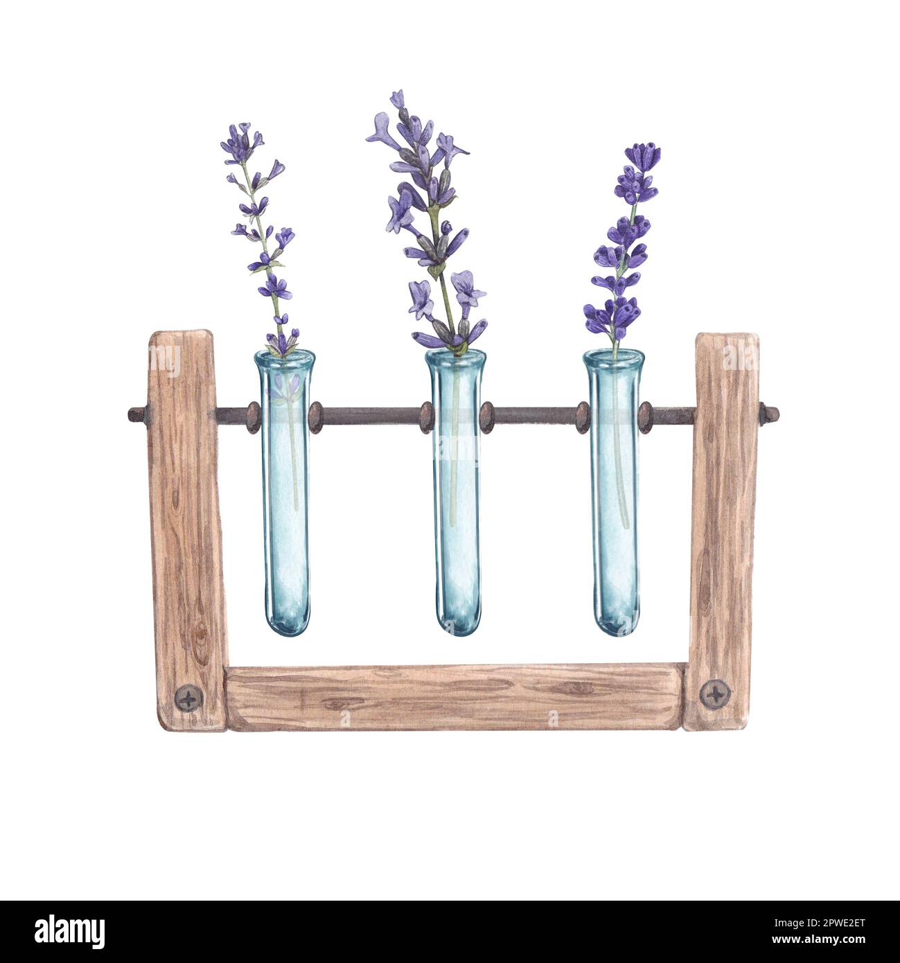 Interior vase with lavender isolated on a white background Watercolor ...