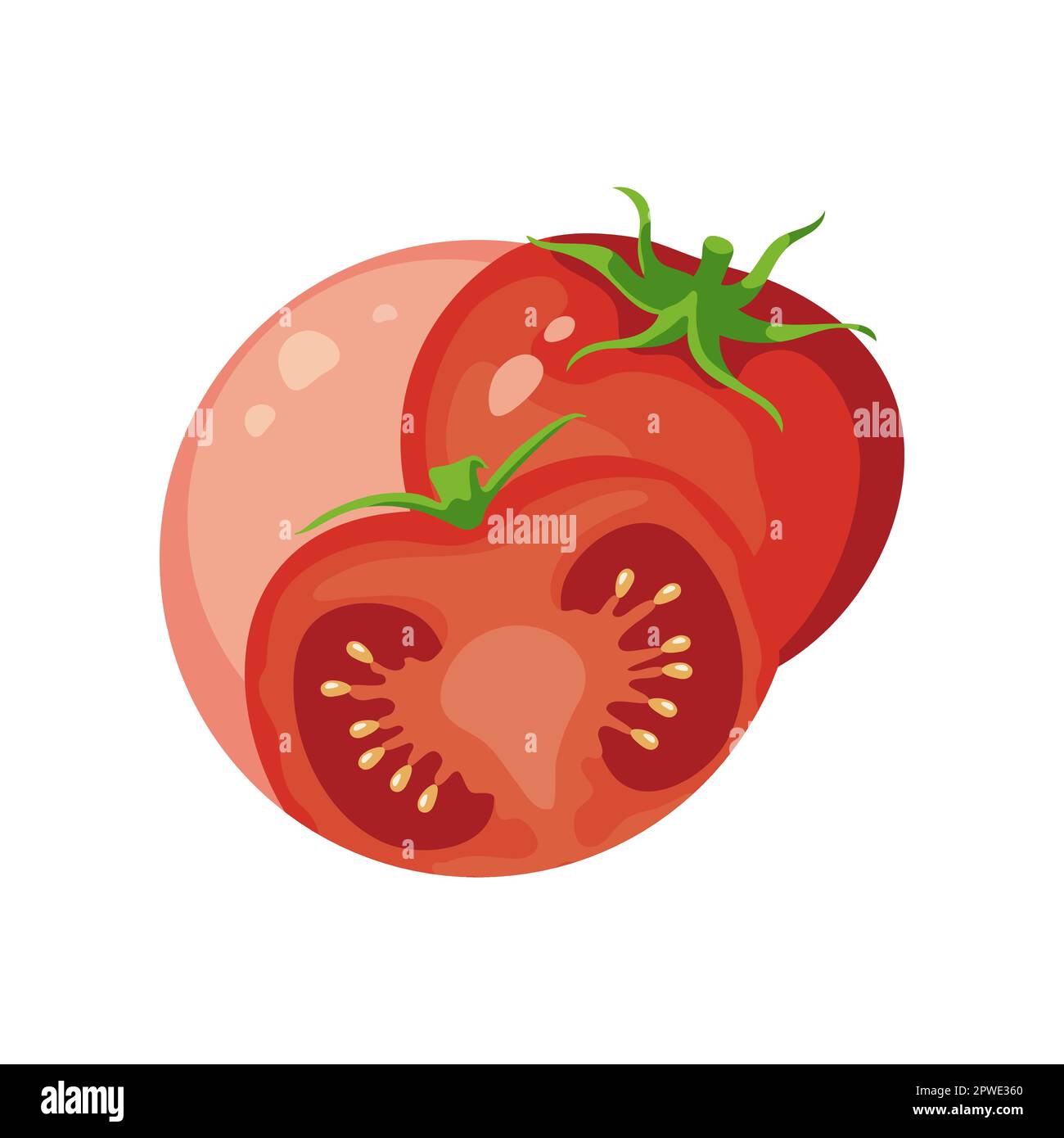 Tomatoes for homemade facial mask vector illustration Stock Vector ...