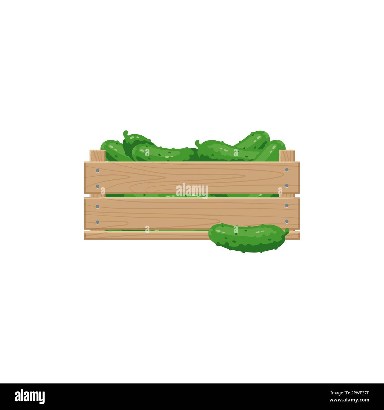 Cucumbers In Wooden Box Vector Illustration Stock Vector Image And Art