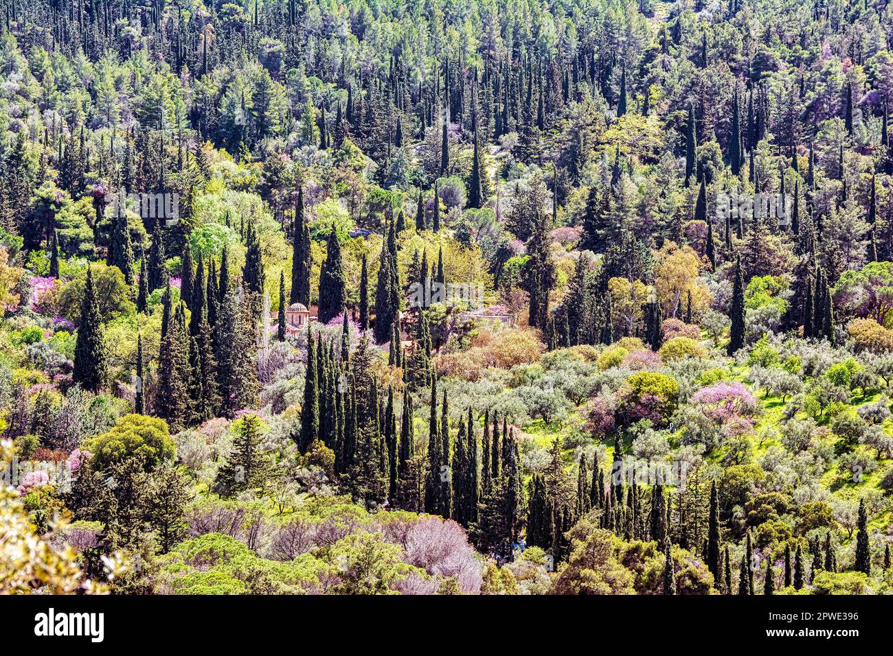 View of the famous Hymettus mountain and Kaisariani monastery, Athens ...