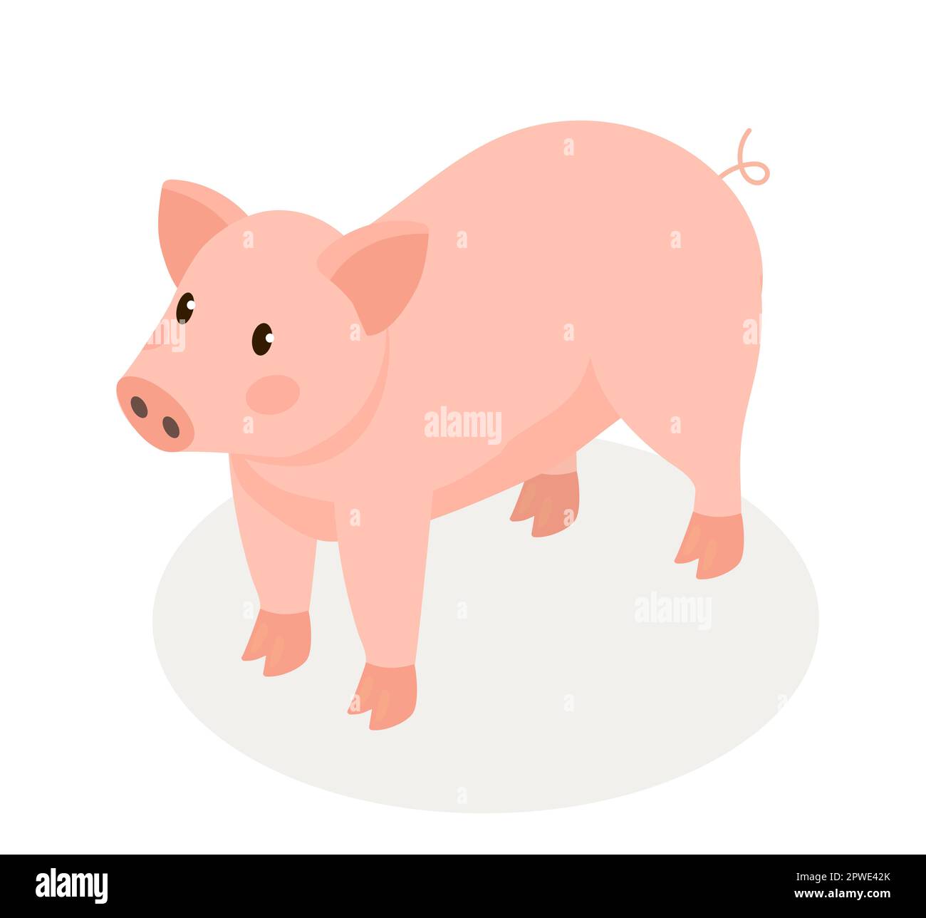 Pig meat pig farm Cut Out Stock Images & Pictures - Alamy
