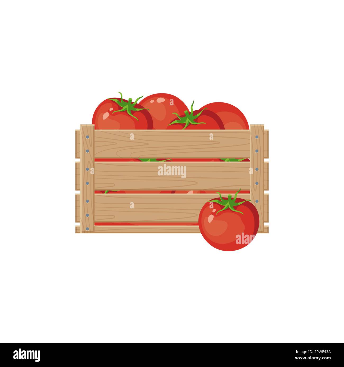 Tomatoes in wooden box vector illustration Stock Vector Image & Art - Alamy