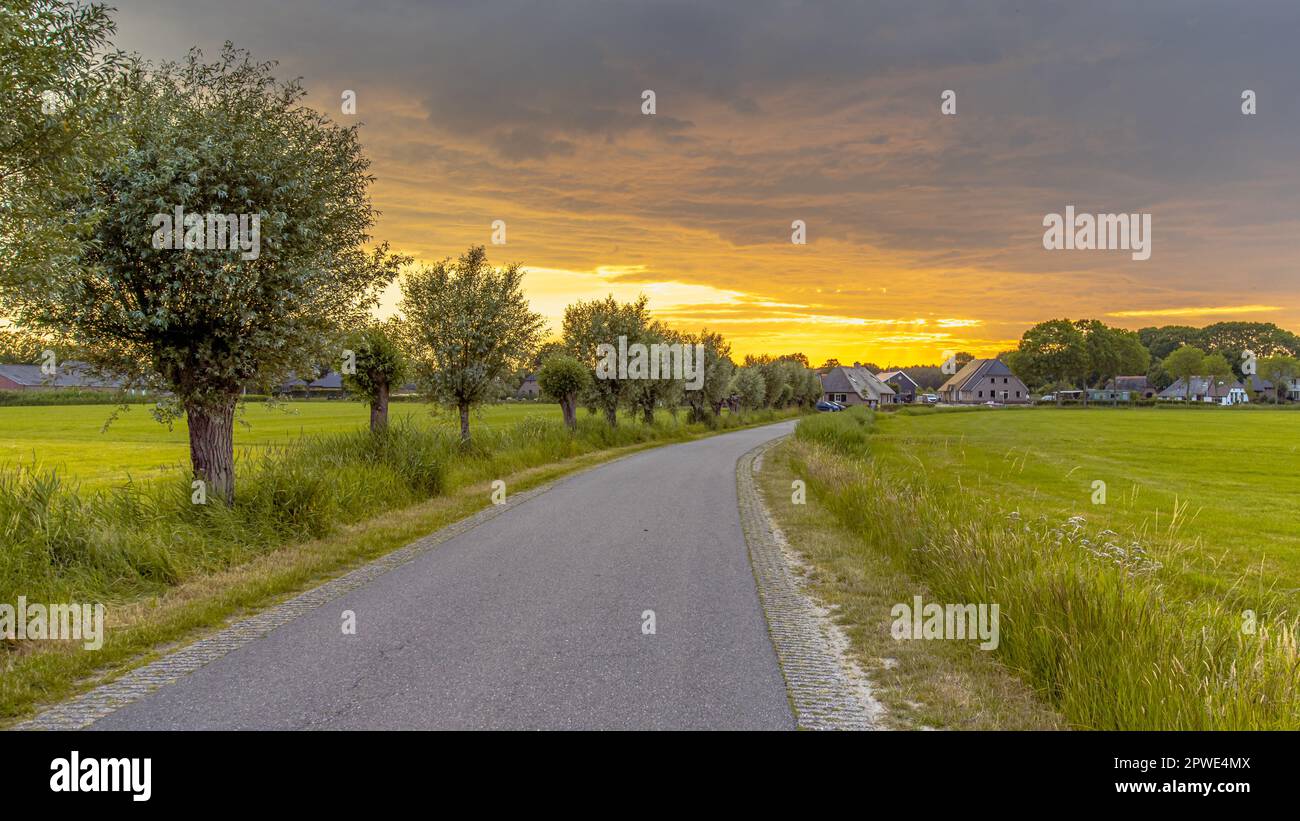 Dutch Village Landscape with Pollard Willows and old farms in the ...