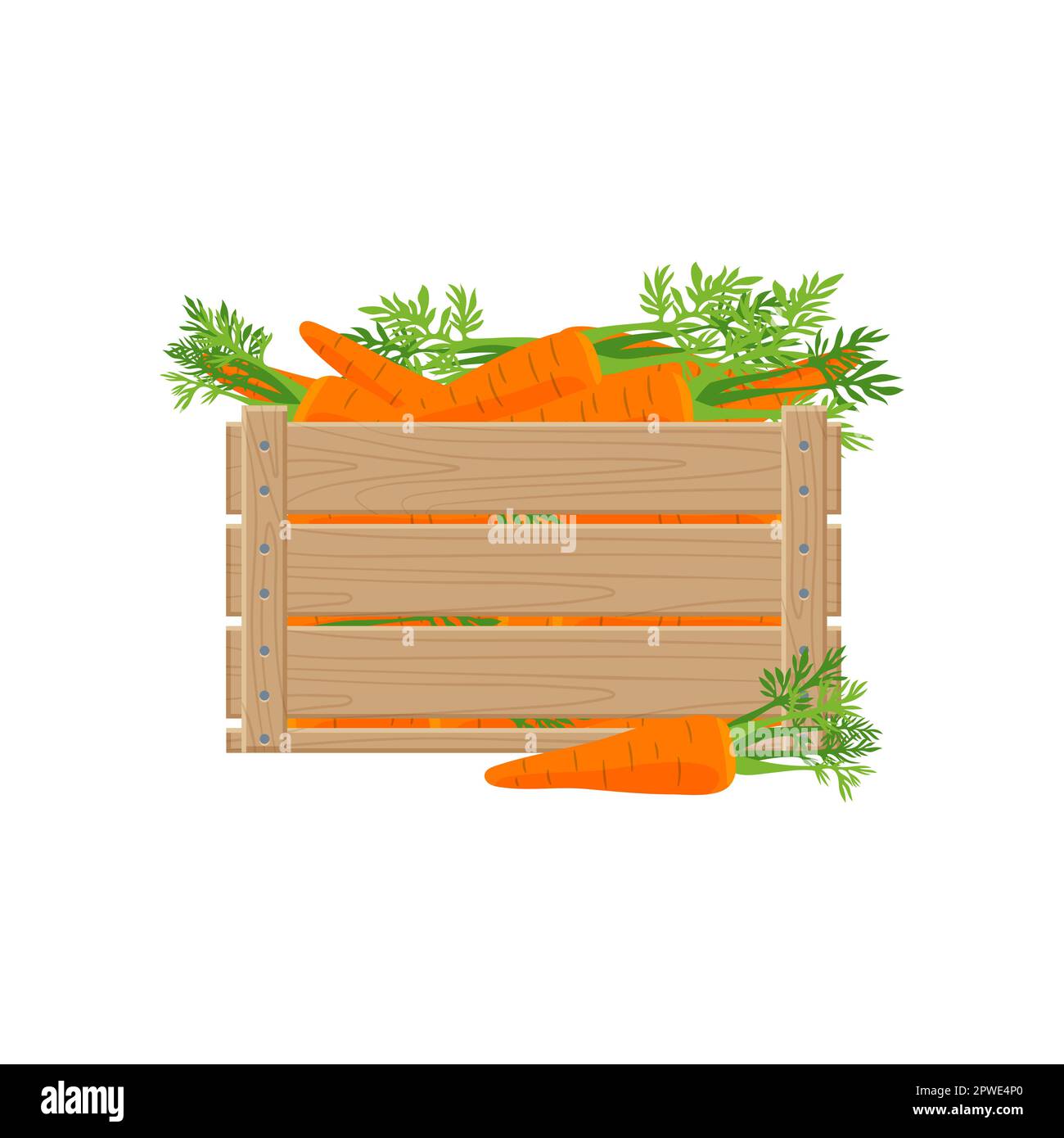 Box of carrots Stock Vector Images - Alamy
