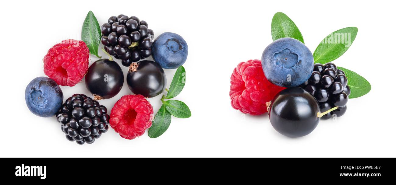 mix of blackberry blueberry raspberry isolated on white background. Top ...